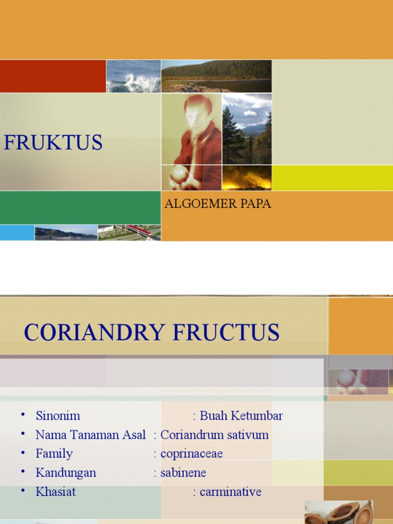 10 Fructus | PDF