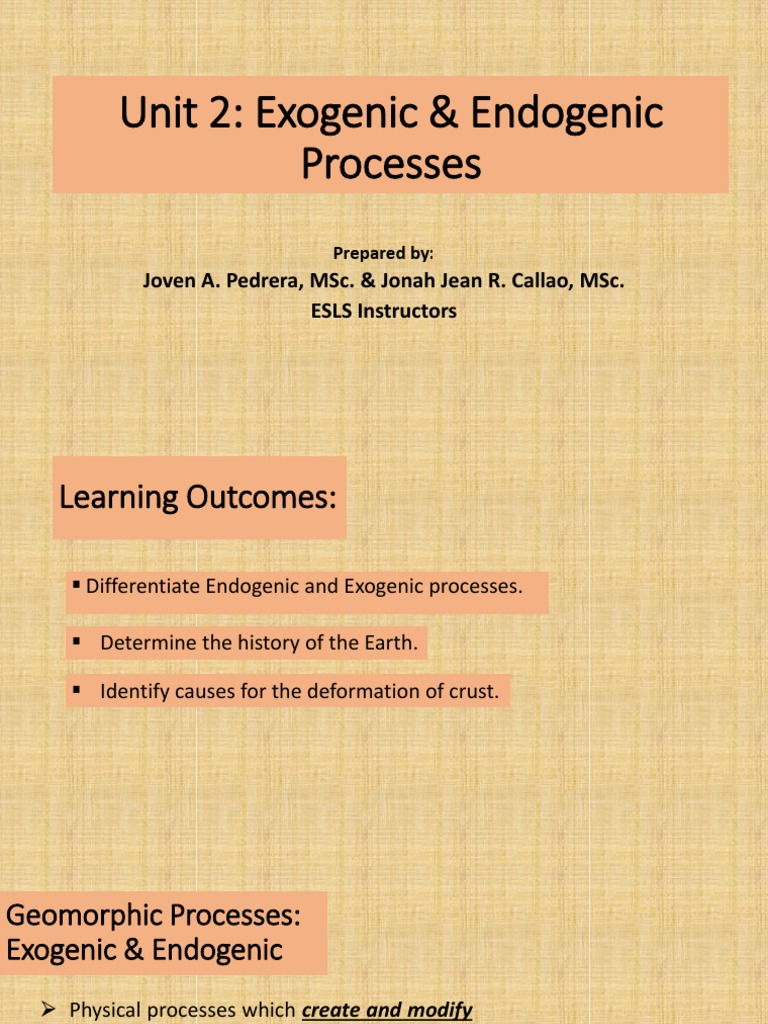 Unit 2 Endogenic Exogenic Processes | PDF | Weathering | Plate Tectonics