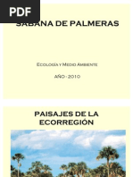 Impacto Ambiental - Ecosistema - Sabana Humeda de Palmeras | PDF ...