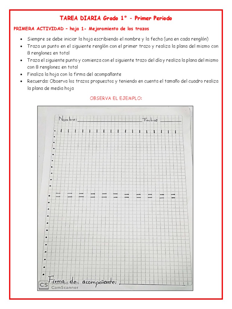 Material TAREA DIARIA 1P Grado 1° | PDF