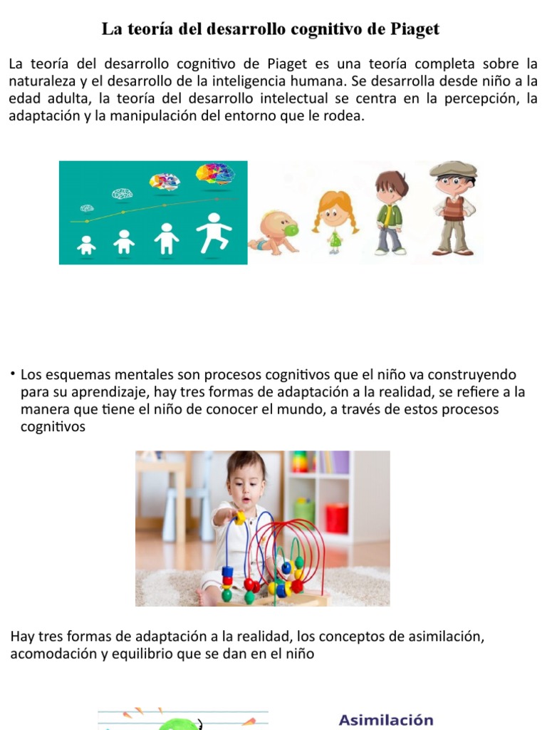 La Teoría Del Desarrollo Cogniti | PDF