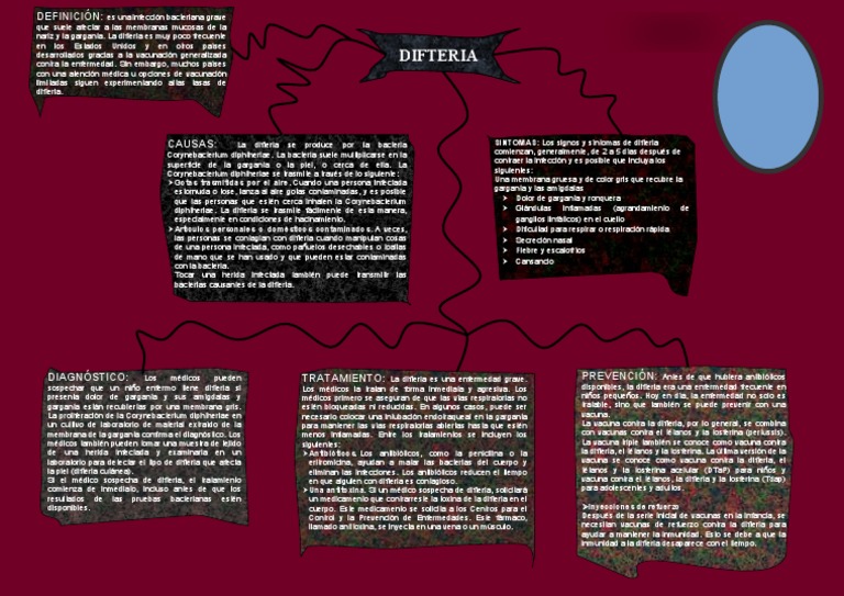 Difteria: Síntomas, Causas y Prevención | PDF | Enfermedades y ...