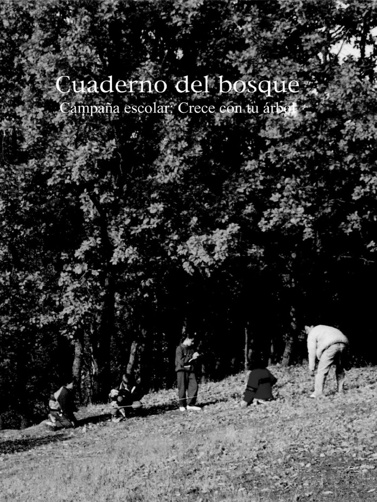 Cuaderno Del Bosque | PDF | Los bosques | Arboles