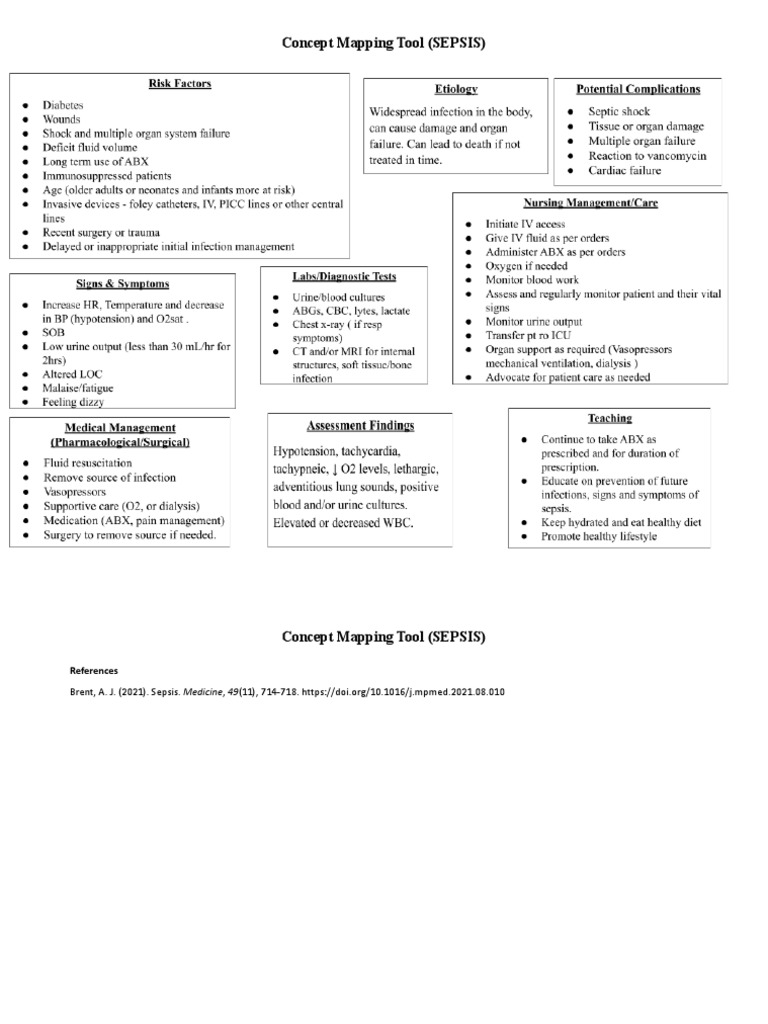 Worksheet Concept Mapping Template 2nd Option | PDF