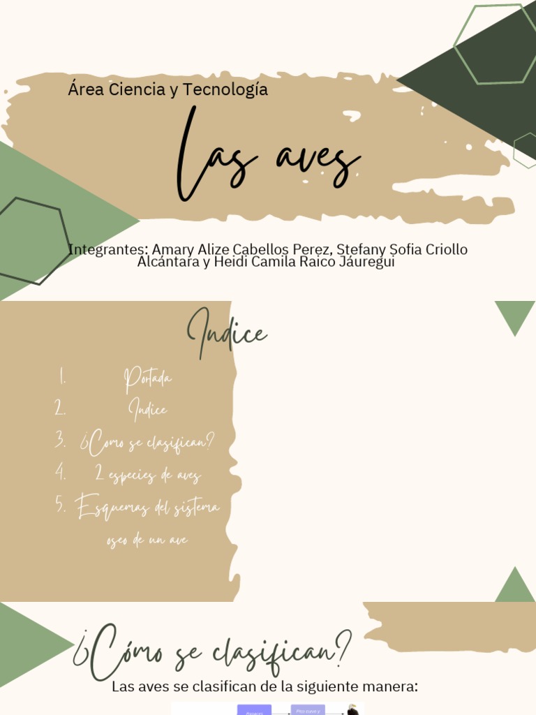 Las Aves | PDF | Ciencia y matemáticas