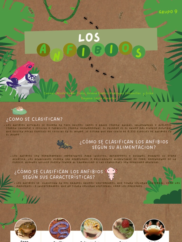 Los Anfibios | PDF | Anfibio | Rana