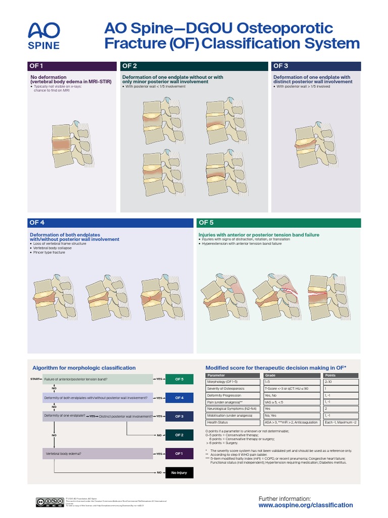 AO Spine Osteoporotic Classification Poster | PDF | Osteoporosis | Epidemiology