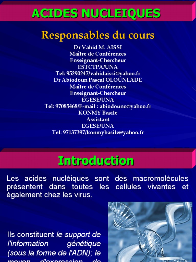 Acides Nucléiques : Structure et Fonction | PDF | Nucléotides | Acide ...