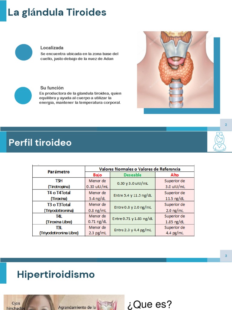 hipo e hipertiroidismo | PDF
