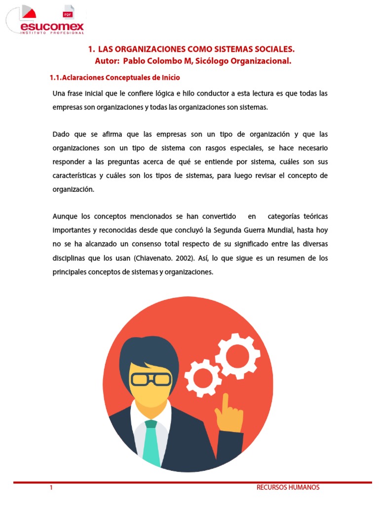 Las Organizaciones Como Sistemas Sociales. Autor: Pablo Colombo M ...