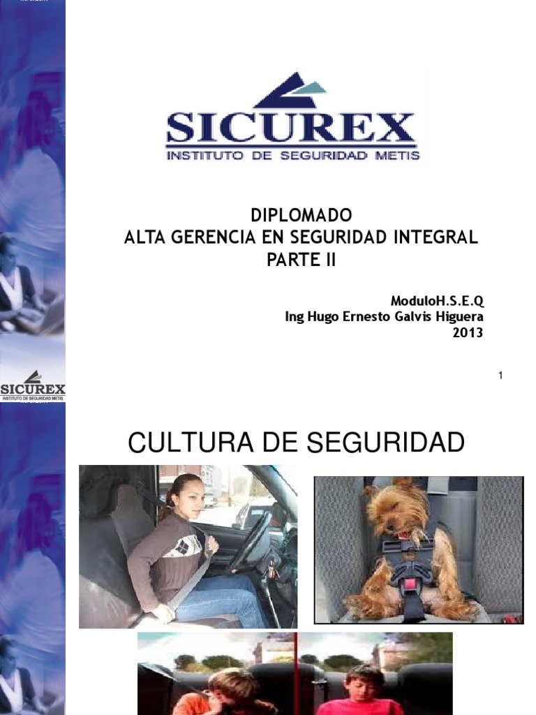 Hseq Ii Parte Pdf Seguridad Y Salud Ocupacional La Seguridad