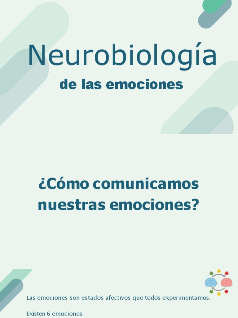 Neurobiología De Las Emociones Pdf Las Emociones Sistema Límbico