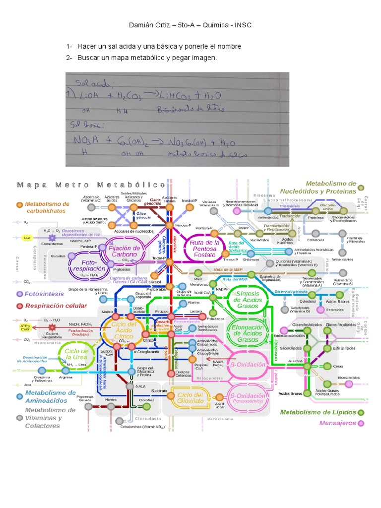 Química Sales Acidas y Basicas | PDF