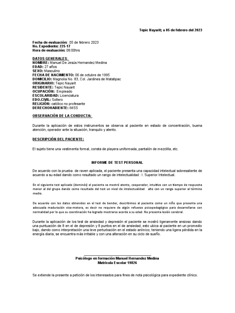 Ejemplo Informe de Test | PDF