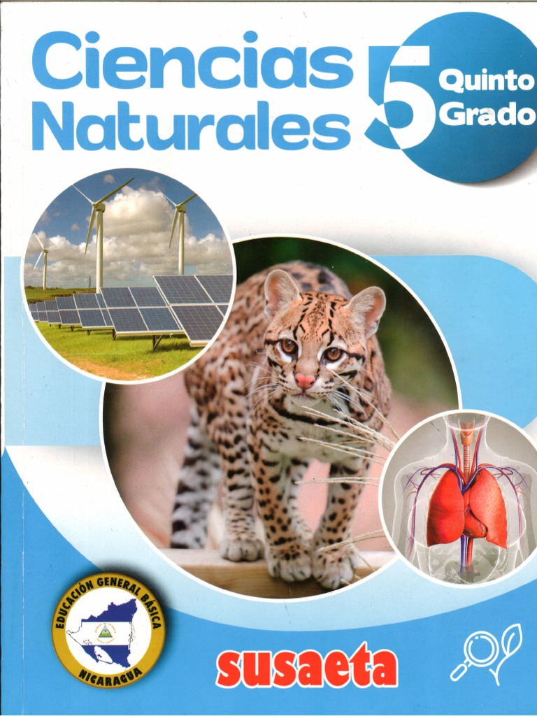 Ciencias Naturales Susaeta | PDF