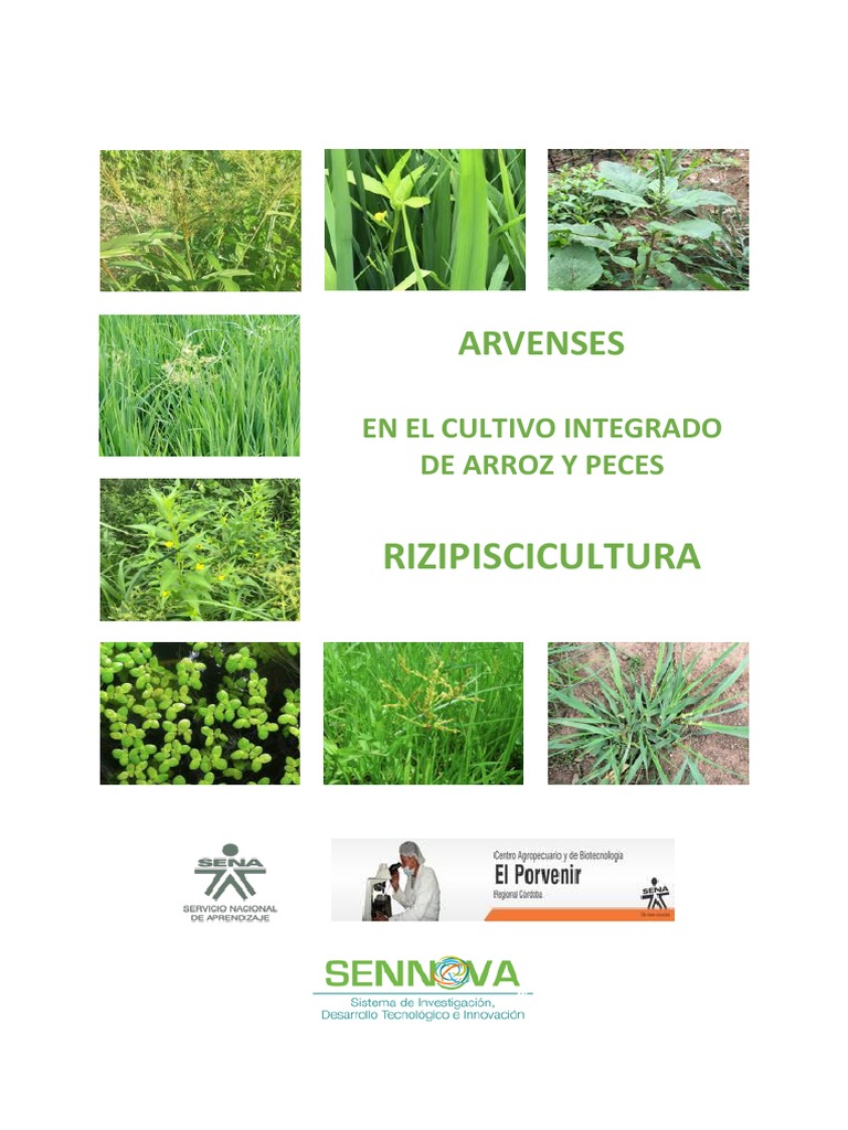 Arvenses Pdf Botánica Organismos