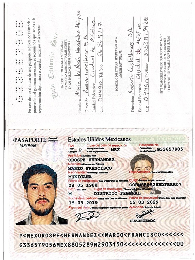 Pasaporte 2019 1 | PDF