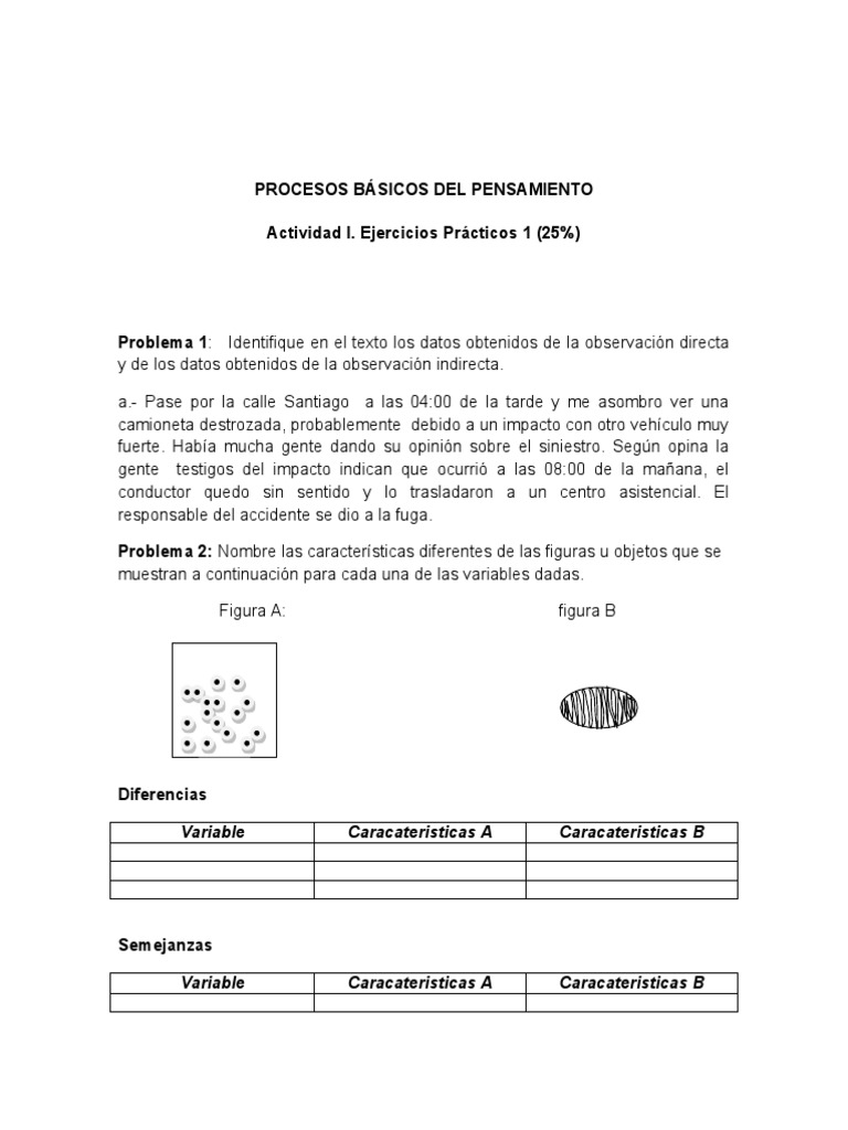Ejercicio Práctico 1 Procesos Basicos Del Pensamiento | PDF