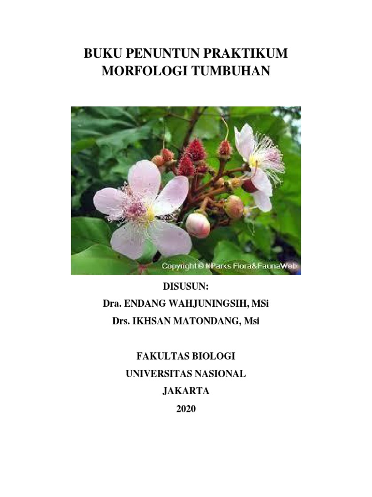 Buku Penuntun Praktikum Morfologi Tumbuhan | PDF