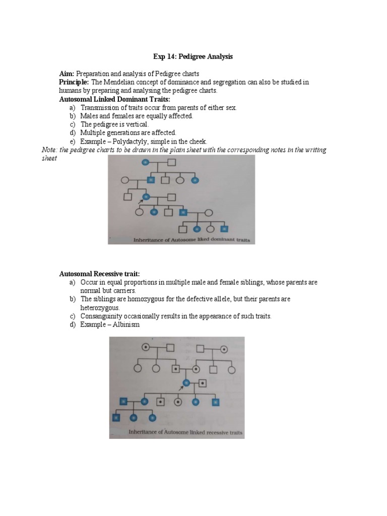 Bio Demo Experiments | PDF | Zygosity | Dominance (Genetics)
