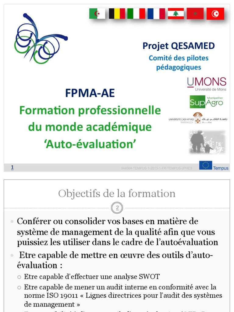 Guide sur l'Auto-évaluation en Qualité | PDF | Audit | Système de ...