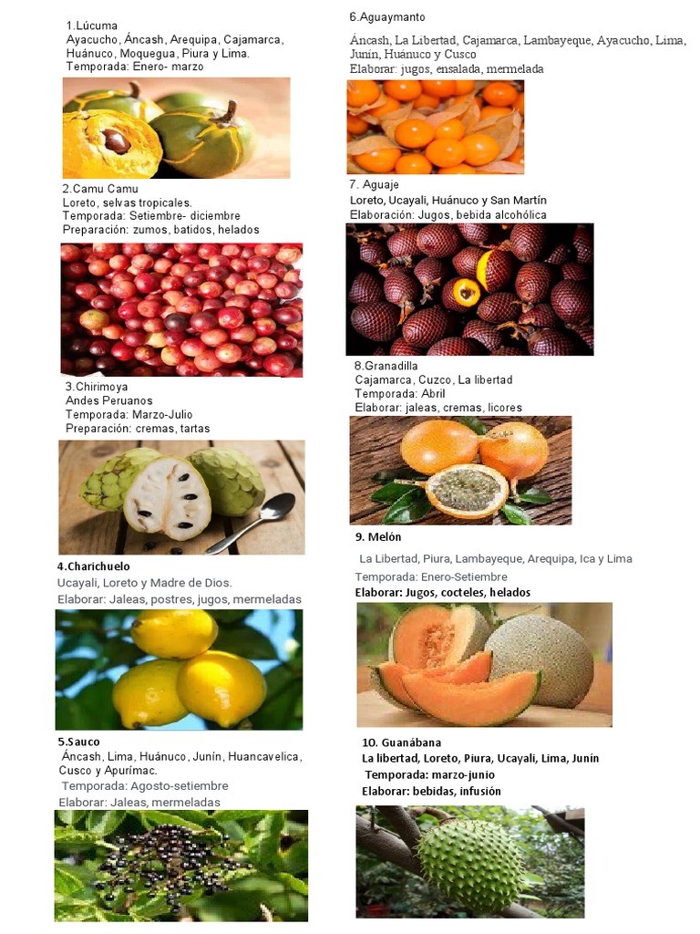 Frutas Típicas y Nativas del Perú | PDF | Alimentos | Cocina