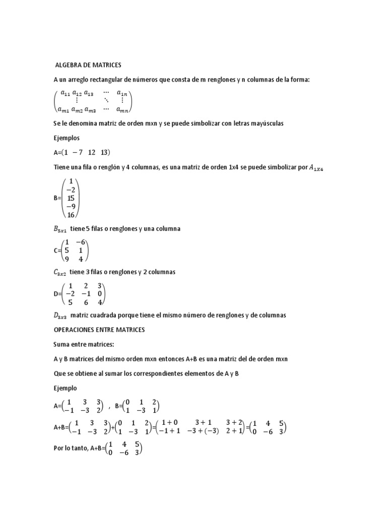 Algebra de Matrices | PDF | Matriz (Matemáticas) | Sistema de ...