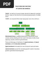 LFSC Grade 10 - Unit 4 - Plant and Animal Tissues | PDF | Tissue ...