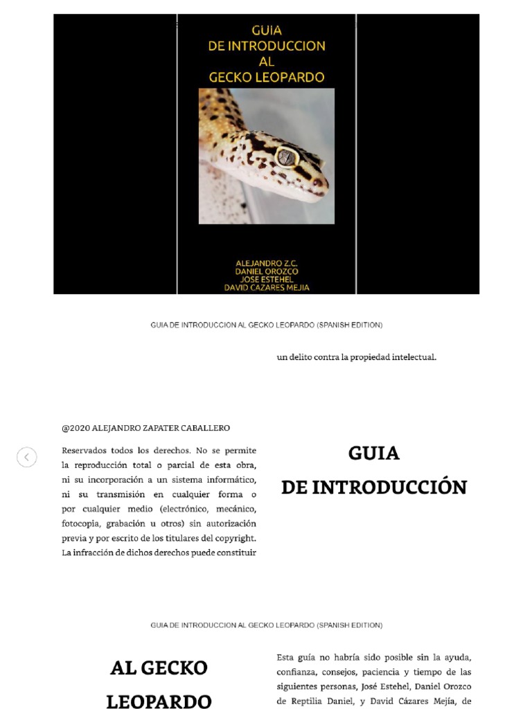 Manual Geckos | PDF