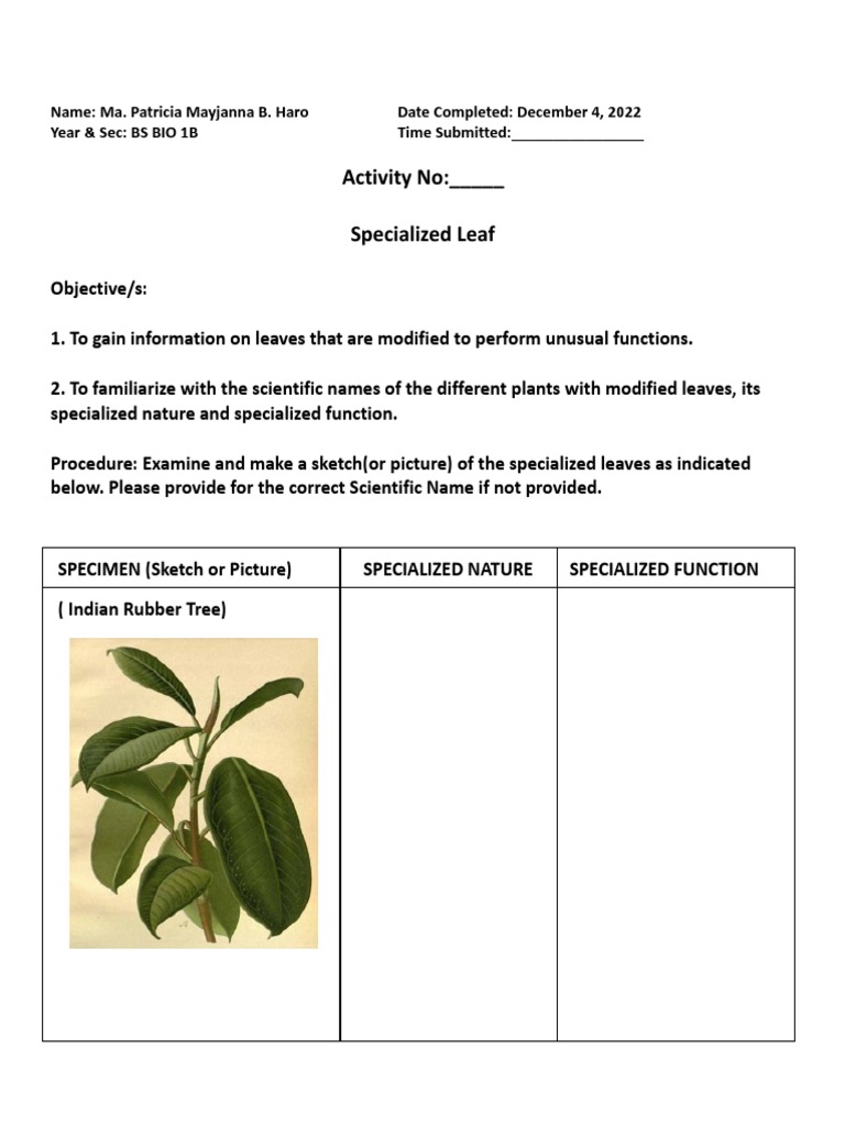 Specialized Leaf | PDF