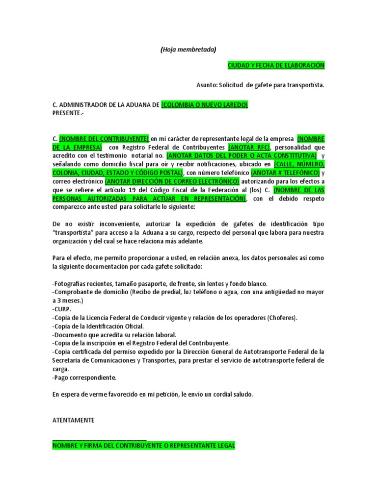 Modelo de Escrito y Anexos | PDF | Gobierno