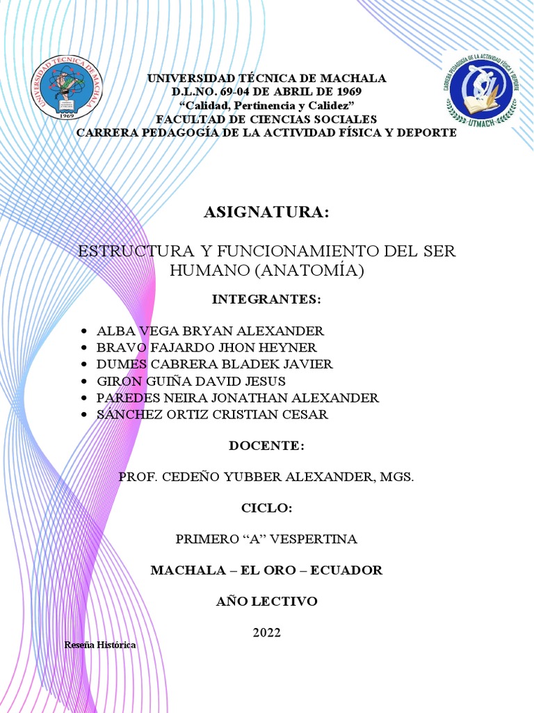 Portafolio de Anatomia 2do Parcial 2 Utmach | PDF | Anatomía | Hueso