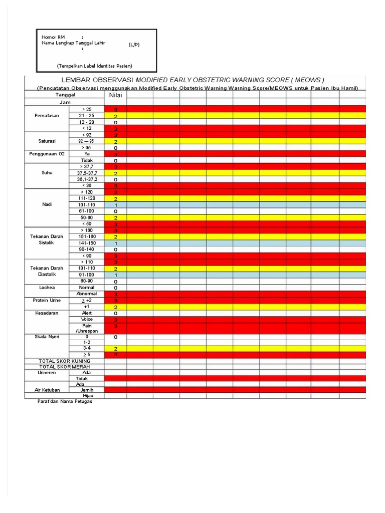 Formulir Observasi Meows | PDF