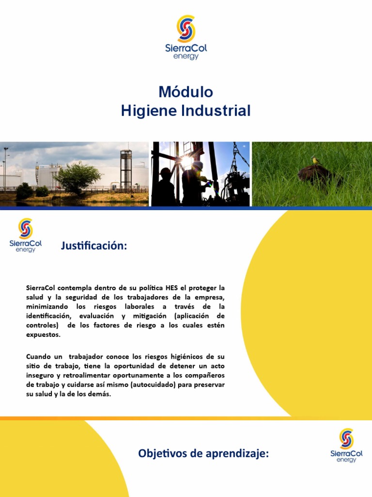 Guía Higiene Industrial | PDF | Higiene Ocupacional | Seguridad y salud ocupacional