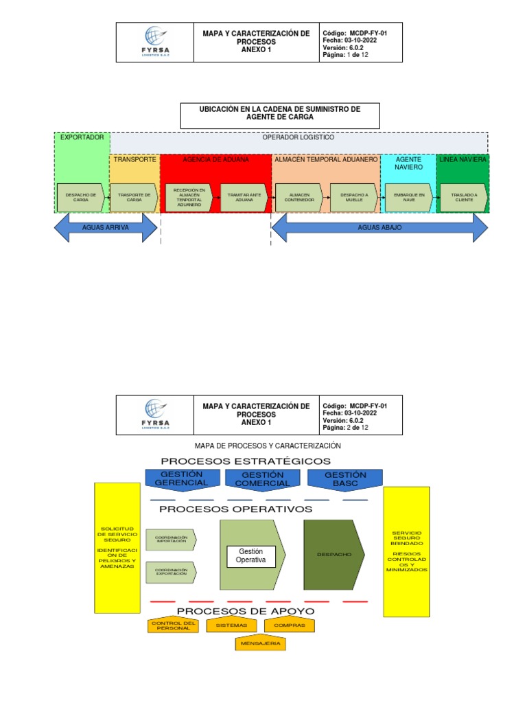 Mapa de Procesos Aduaneros y Logísticos | PDF | aduana | Almacén
