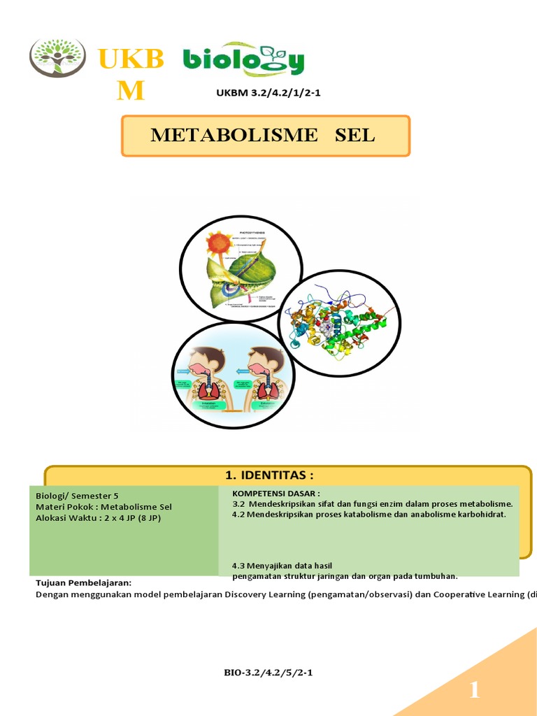 Ukbm 3.2.metabolisme Sel KB 1 | PDF