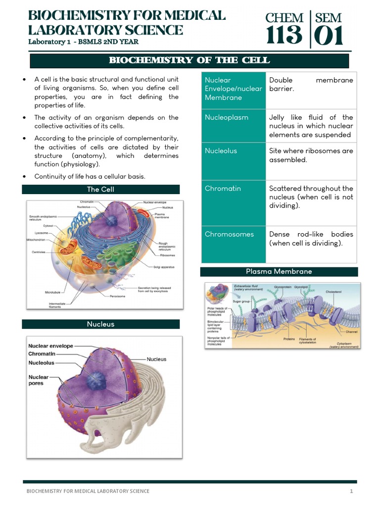 Cell Biochemistry Overview | PDF | Cell Membrane | Cell (Biology)