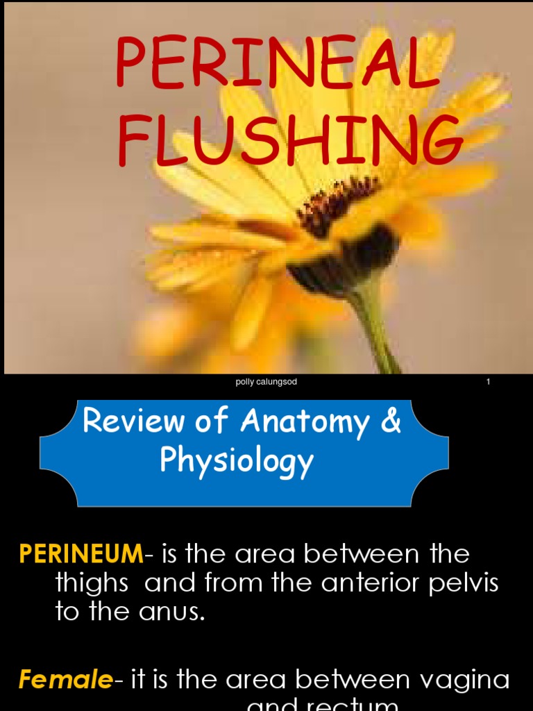PERINEAL FLUSHINGrev 3 | PDF | Labia | Health Sciences