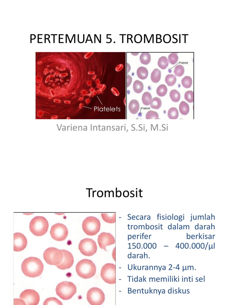 Struktur dan Proses Trombosit | PDF