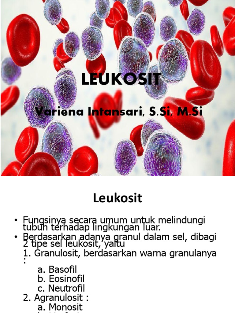 Pertemuan 3. Leukosit | PDF
