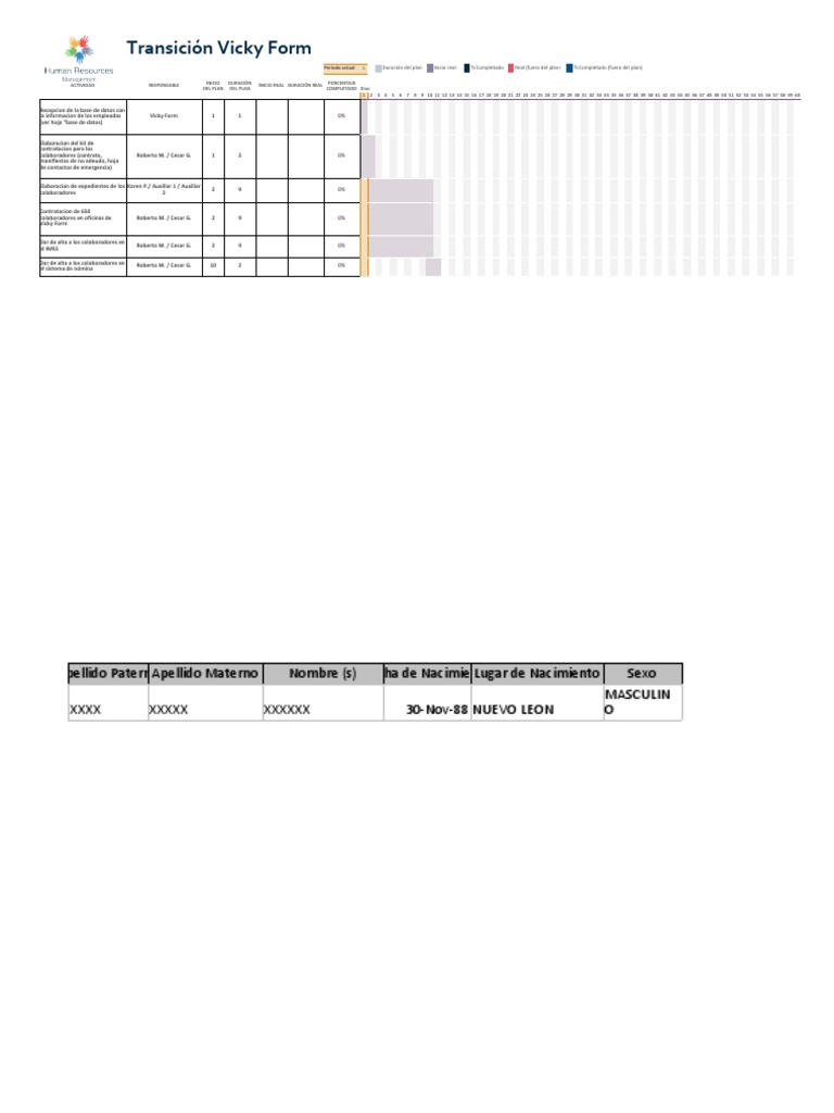 Plan Vicky Form | PDF
