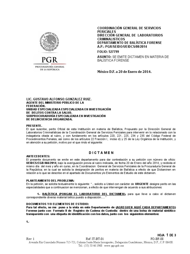 Formato para Los Dictamenes | PDF | Experto | Justicia
