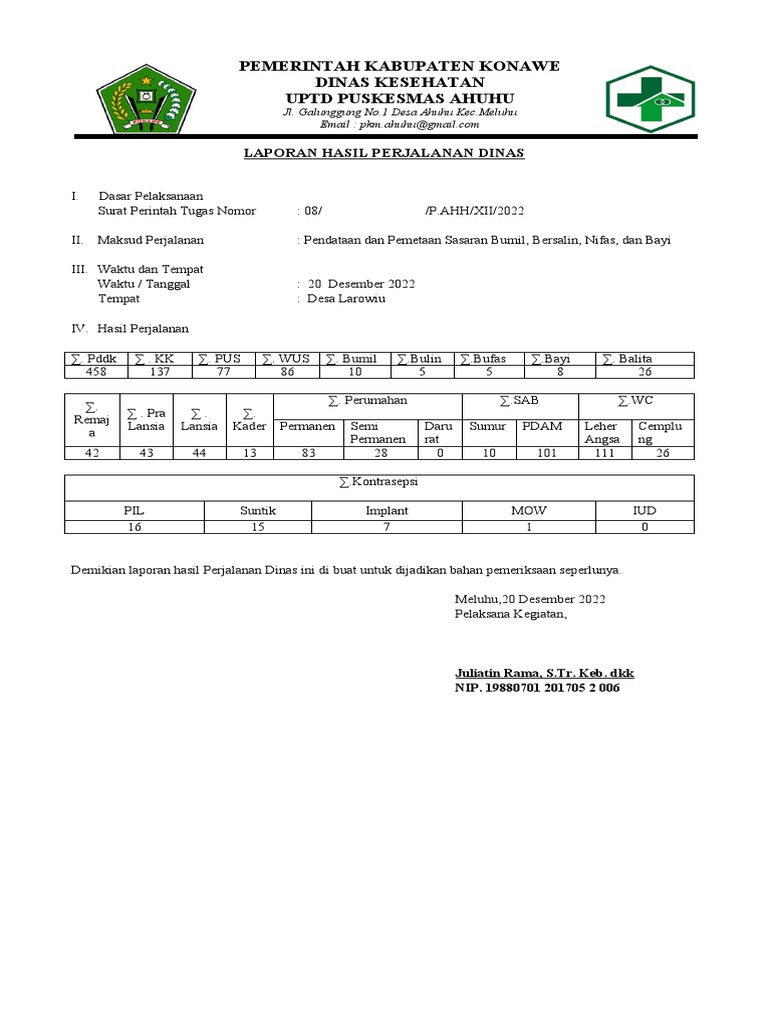 LPD Pendataan Bumil Meluhu | PDF