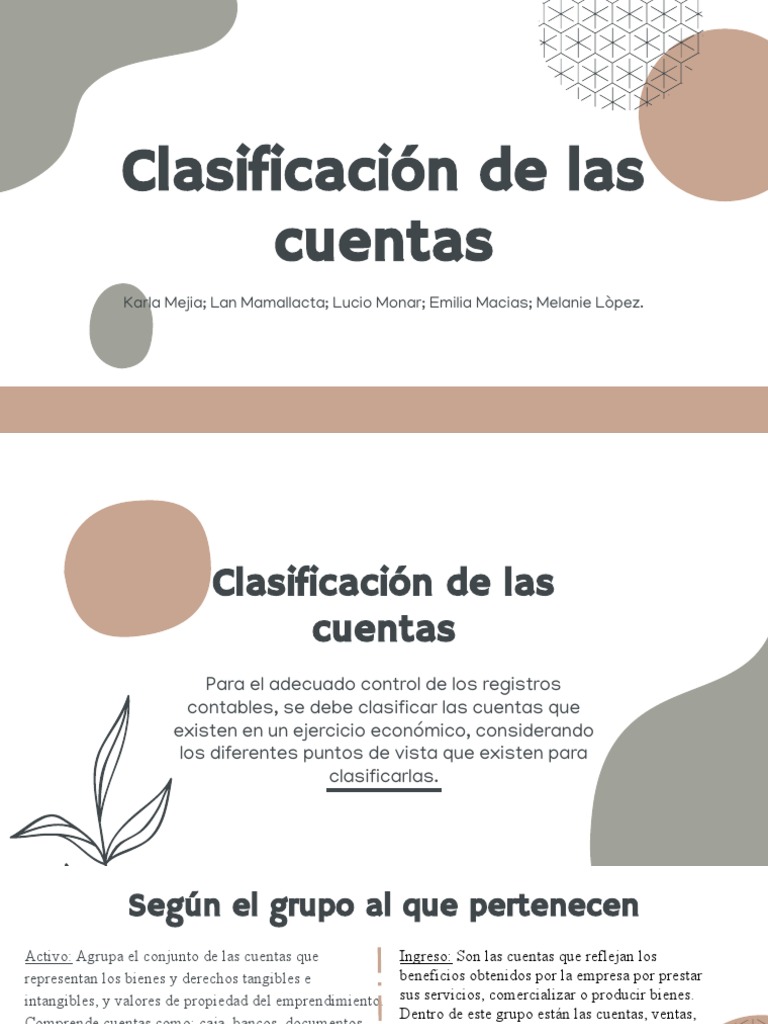Clasificacion de Cuentas | PDF | Contabilidad | Business