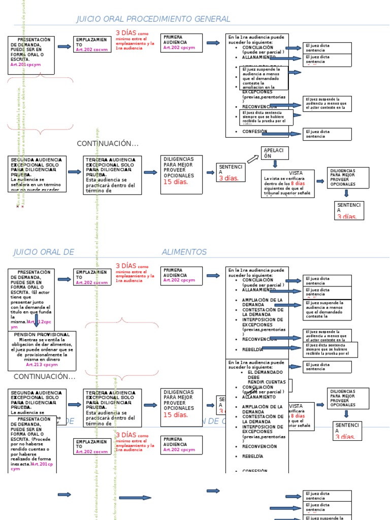 Esquemas Del Juicio Oral | PDF | Sentencia (Ley) | Demanda judicial