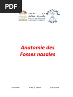 12-Appareil Branchial | PDF | Tête et cou chez l'humain | Anatomie humaine