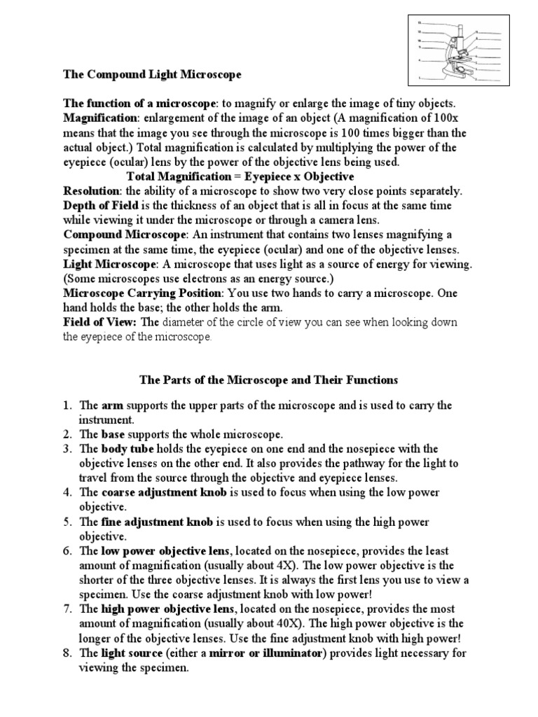 The Compound Light Microscope Pdf Electromagnetic Radiation