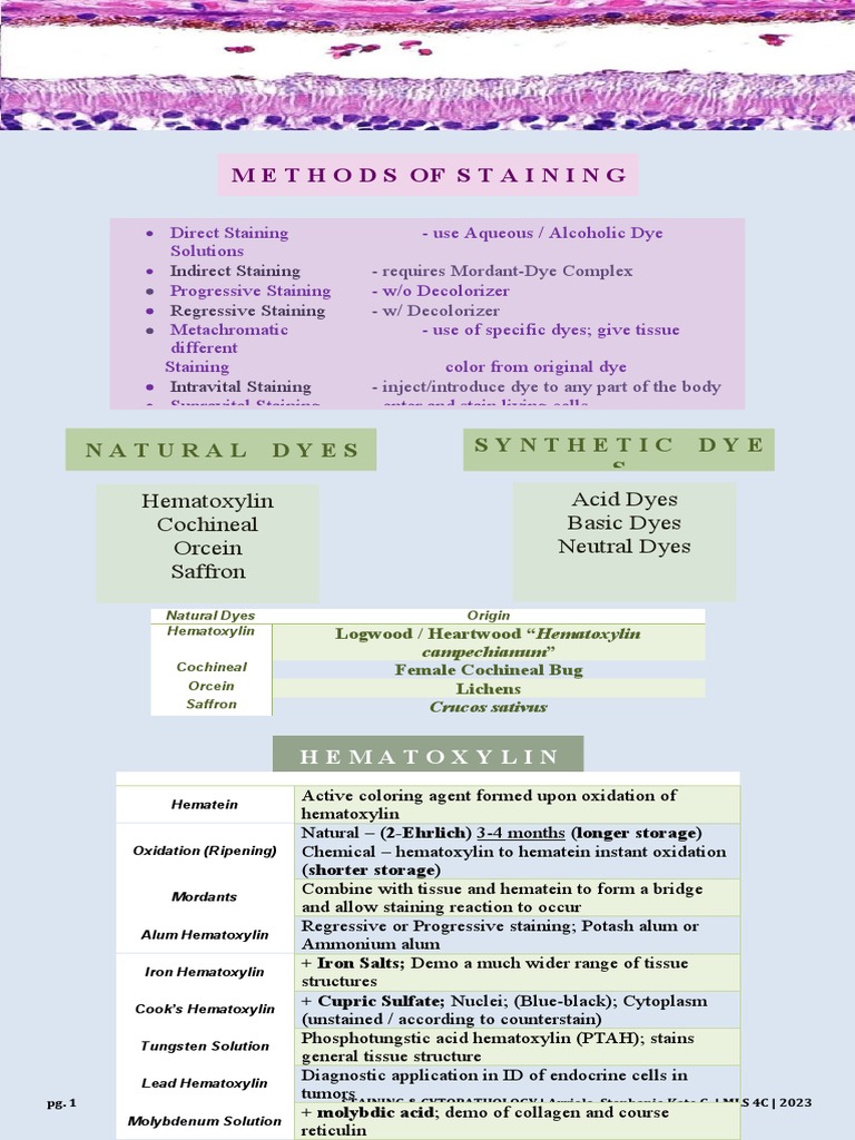 Staining & Cytopathology | PDF | Staining | Cytopathology