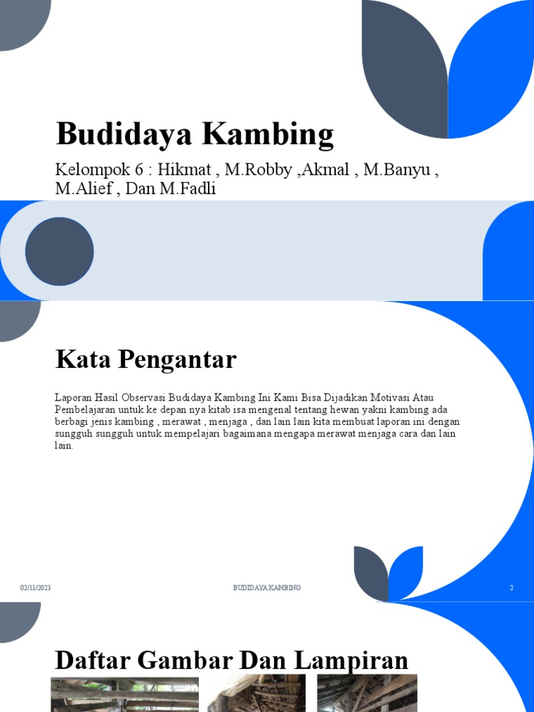 Budidaya KAMBING | PDF