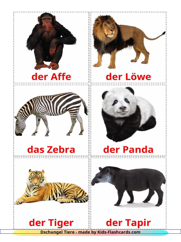 dschungel-tiere-6-a4 | PDF